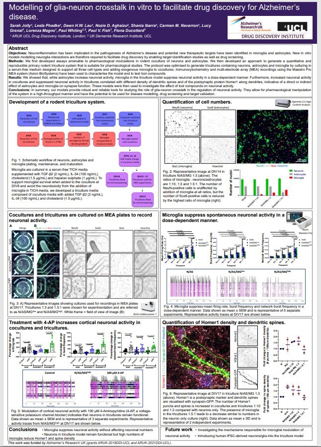 Modelling of glia-neuron crosstalk in vitro to facilitate drug discovery for Alzheimer’s disease ...
